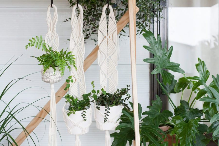 The Modern Day Stylish Pots | Indulge In High Quality Pottery In ...